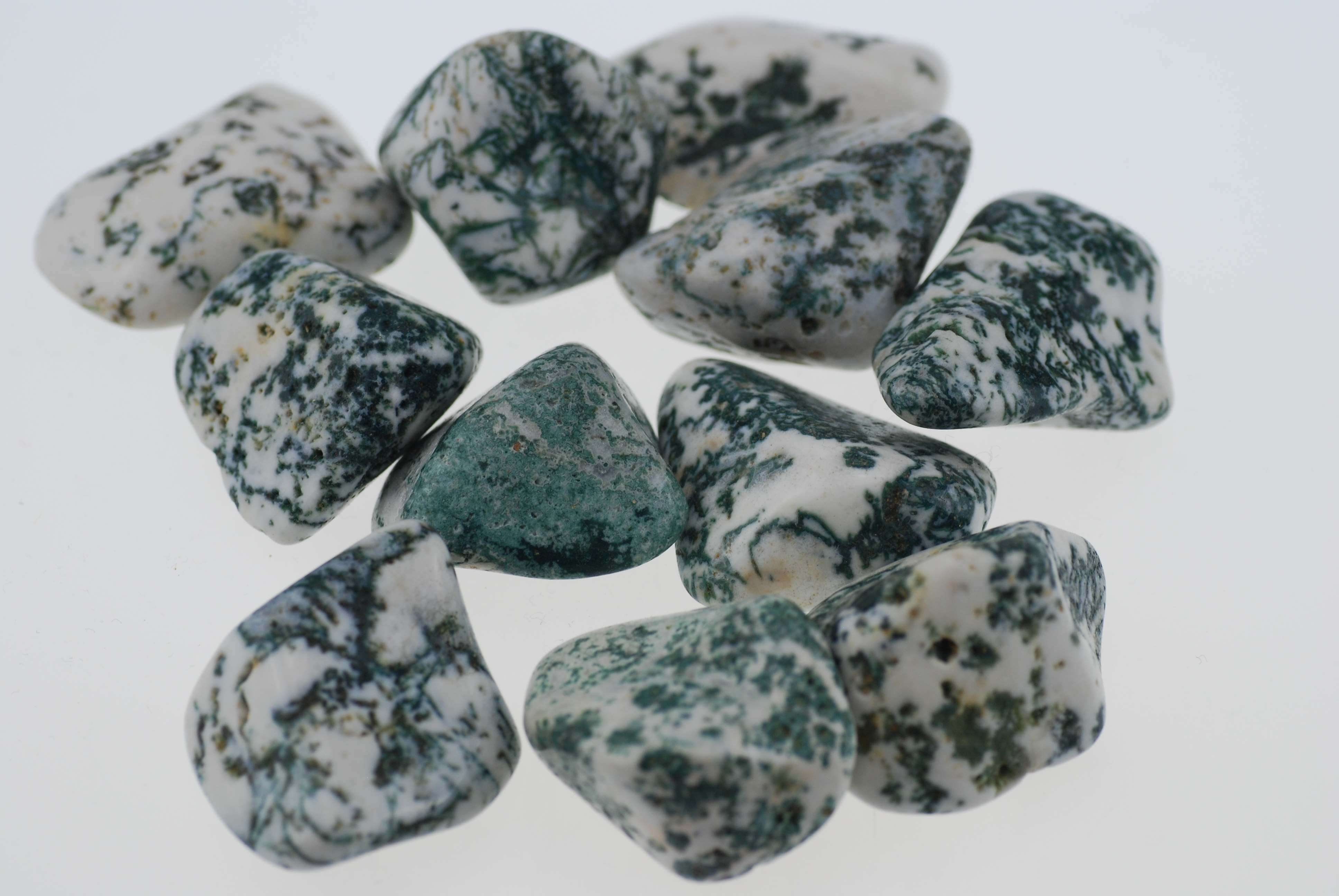 Tree Agate – Happy Glastonbury