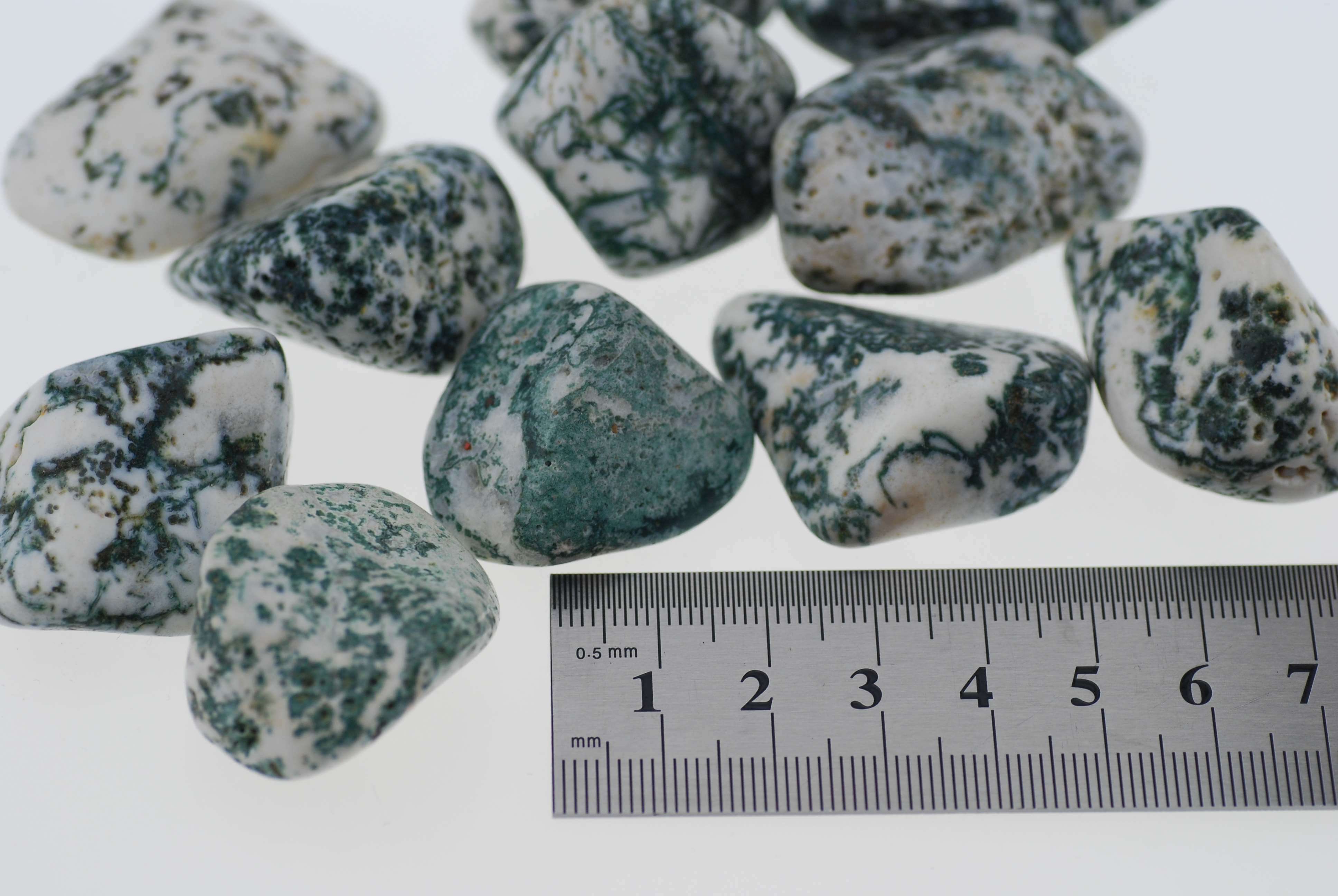 Tree Agate – Happy Glastonbury