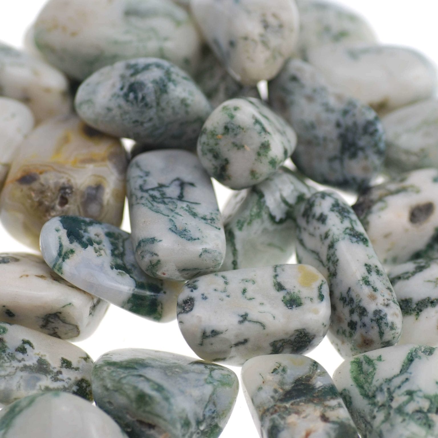 Tree Agate - Browse Our Stunning Crystal Collection Online Now!