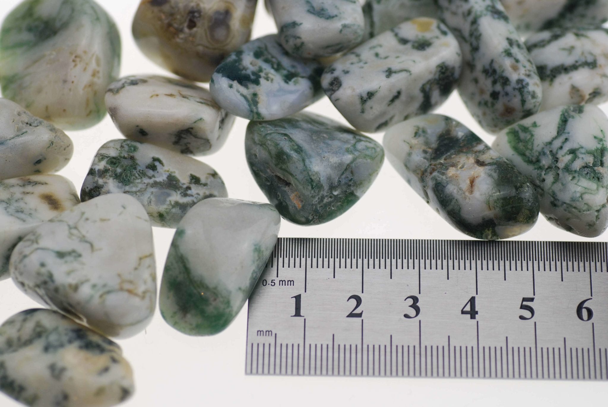 Tree Agate - Happy Glastonbury | Crystals & Gems