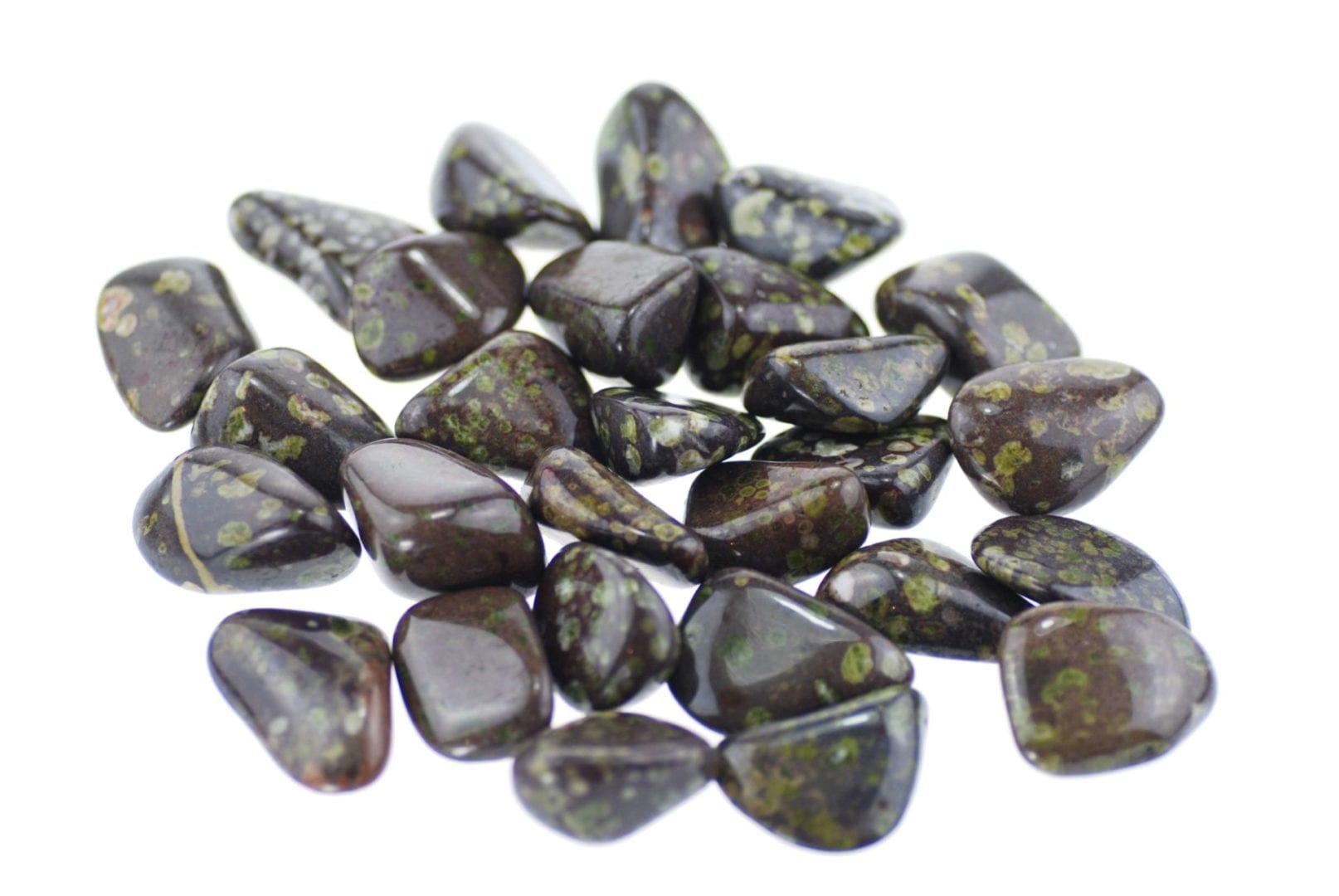 Superior Stromatolite - Happy Glastonbury | Crystals & Gems