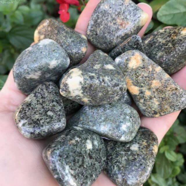 Preseli Blue Stone - Happy Glastonbury | Crystals & Gems