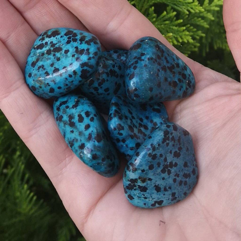 Blue Dalmation Jasper – Happy Glastonbury