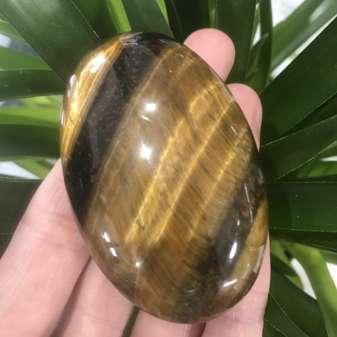 Tigers Eye Palm Stone - 79.5 grams - Happy Glastonbury | Crystals & Gems